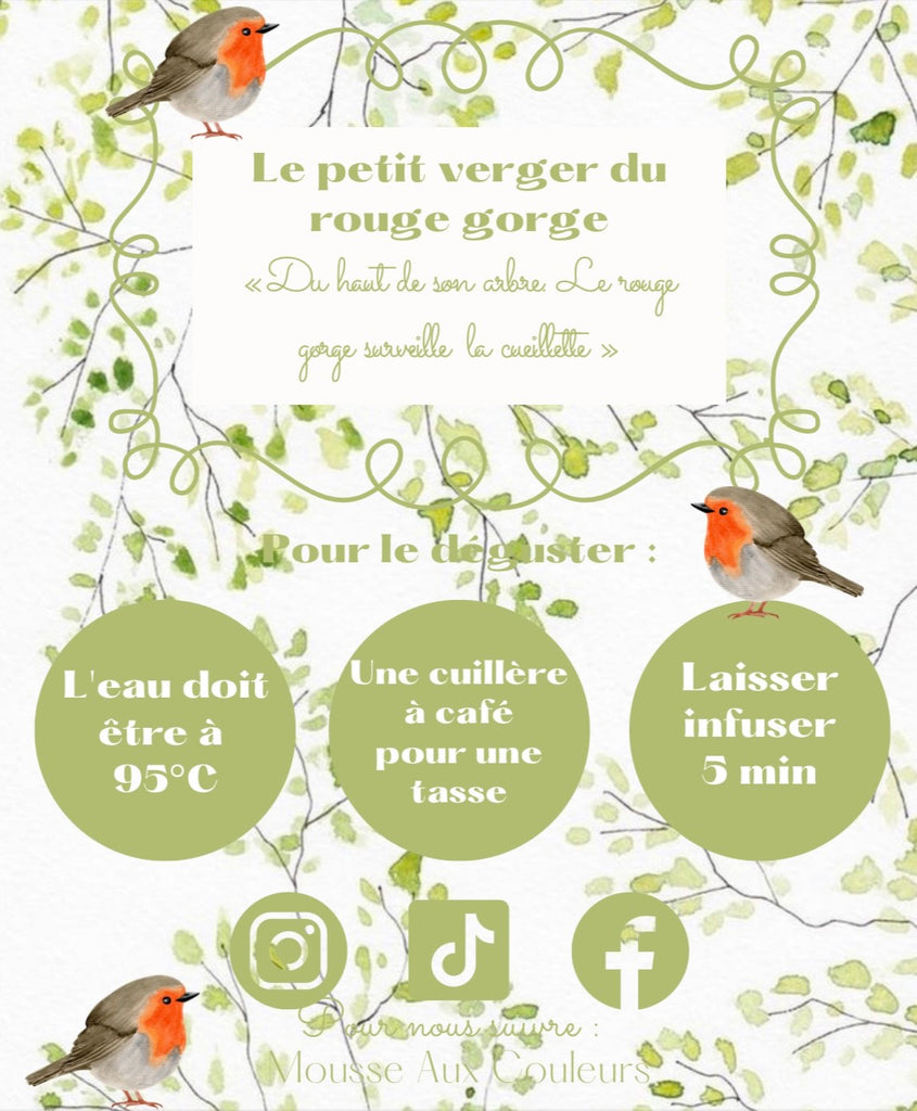Le petit verger du rouge gorge !🌳🍓🥝🍎 – Mousse Aux Couleurs